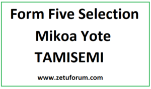 Form Five Selection 2026/2027 PDF Mikoa Yote Tamisemi - ZetuForum ...
